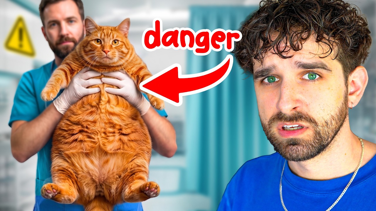 My Kitten is TOO FAT! (Emergency Vet Visit)