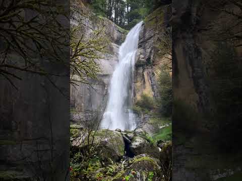 Golden Falls, a 254’ tiered cascade, is one of the tallest waterfalls in the Oregon Coast Range.