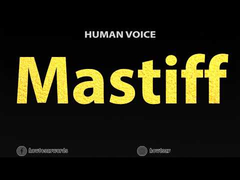 How To Pronounce Mastiff