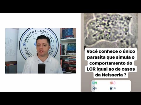 Não confunda isto com Neisseria Meningitidis