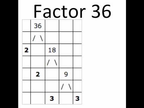 Factor A 36