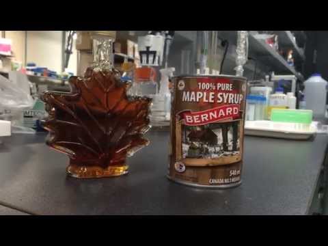 IChemE Global Awards 2015 - 'Maple syrup potentiates antibiotic susceptibility', McGill University