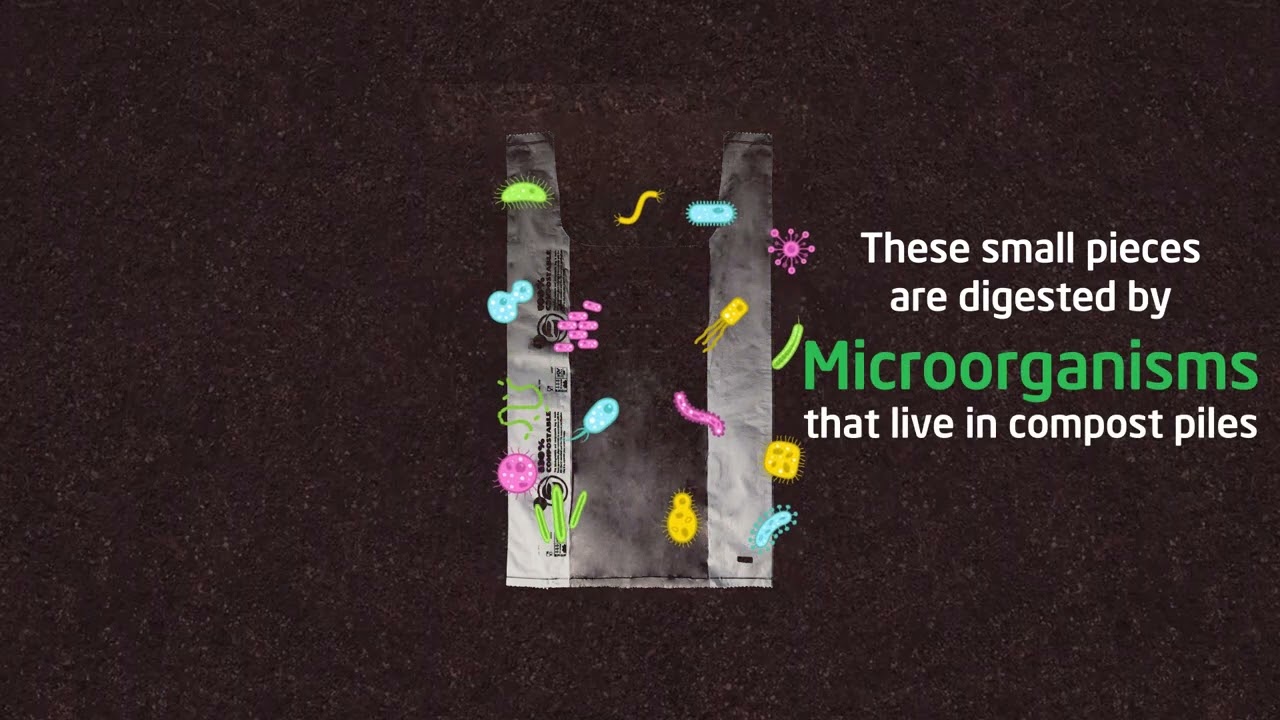 How Compostable Packaging Biodegrades