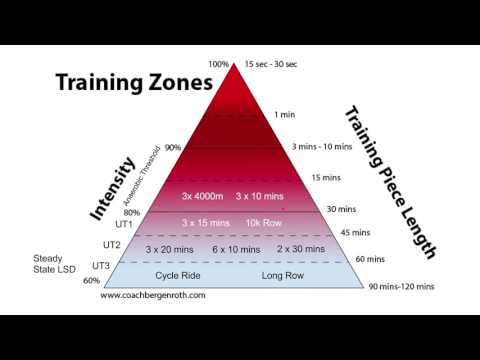 Exercise Training Zones For Endurance Athletes (Rowers)