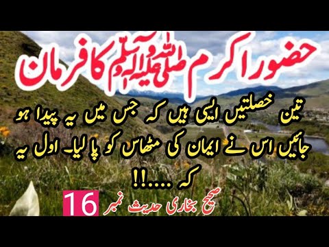 Hadees no 16 sahih bukhari || Hadith in urdu || sahih bukhari Sharif