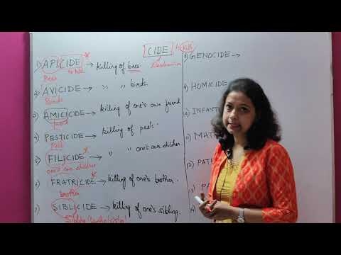 Vocabulary (words ending in'Cide')