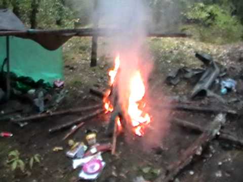 DESCARGAR FORMULARIO 1101 AFIP – barkrechido