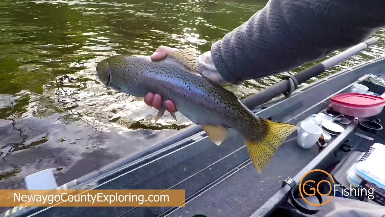 NewayGo County Go Fishing