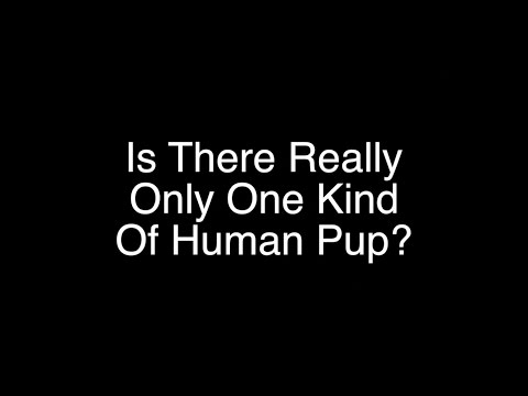Human Pup Play FAQ | Is There Only One Type Of Human Pup?