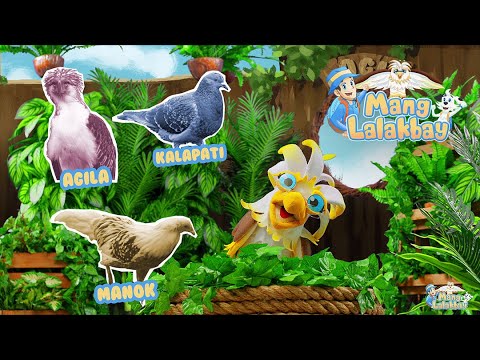 Mang Lalakbay: Mga Sabi Sabi ni Manang Agi | Bugtong tungkol sa ibon