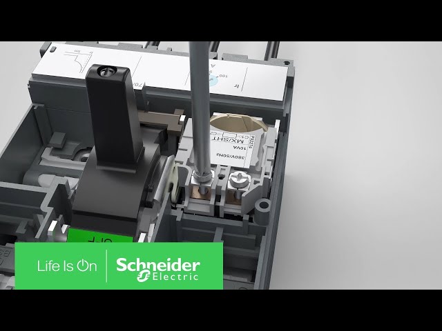 Schneider MCCB - LV510307 Schneider CVS MCCB Trader - Wholesaler ...