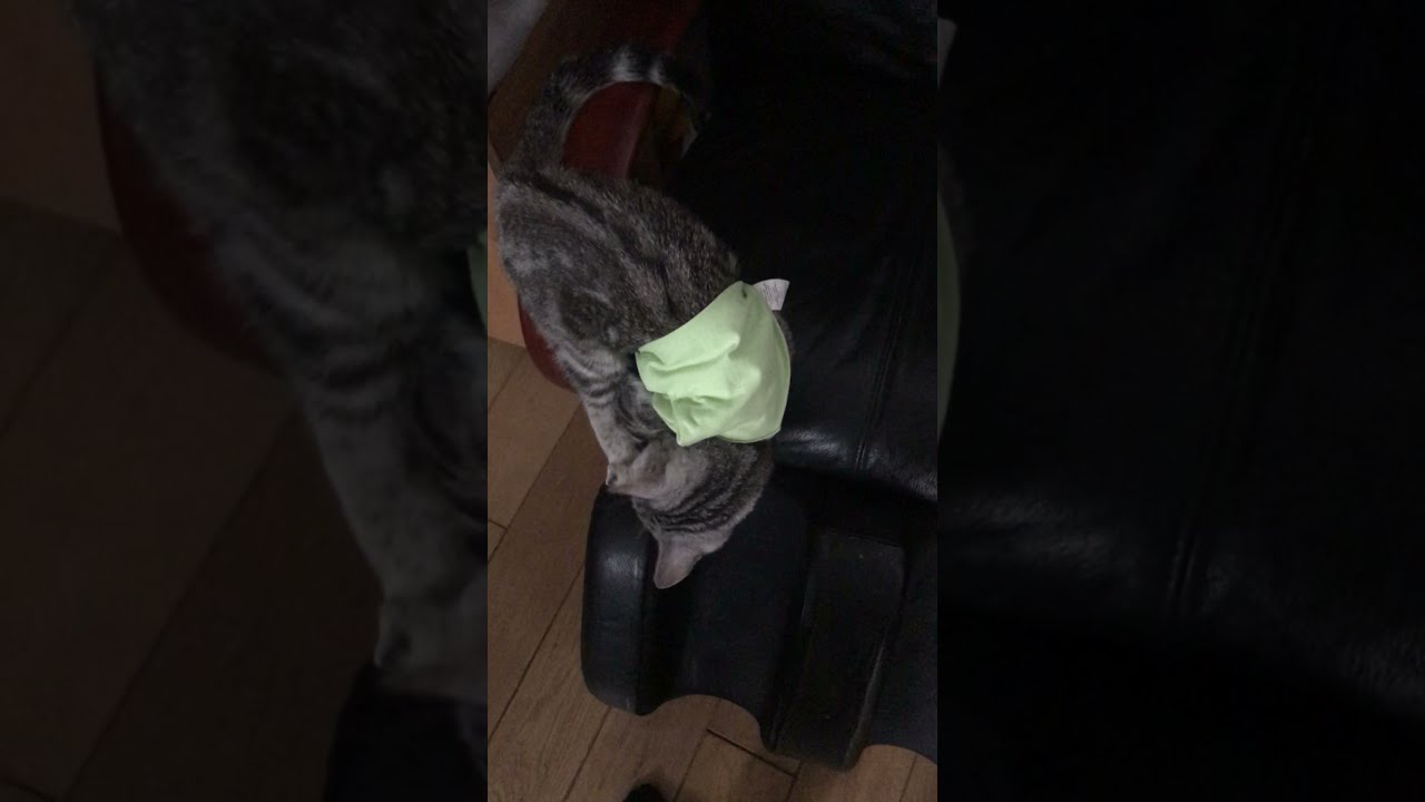 Cheetah Comet massage chair