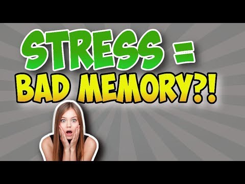 Can Stress Affect Your Memory And Focus? – Why Stress Isn’t Always Bad ...