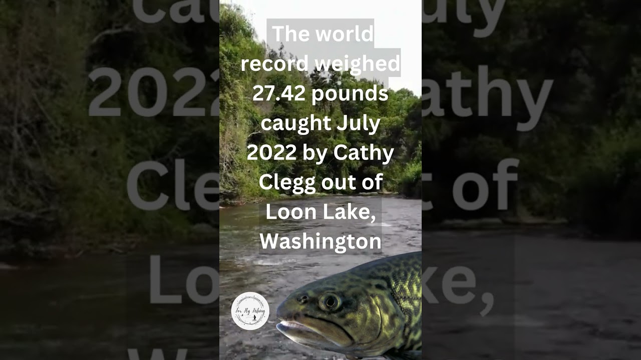 What the World Record Tiger Trout?