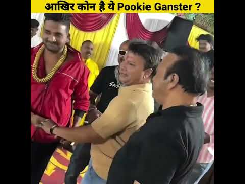 आखिर कोन है ये Pookie Gangster ? #Shorts