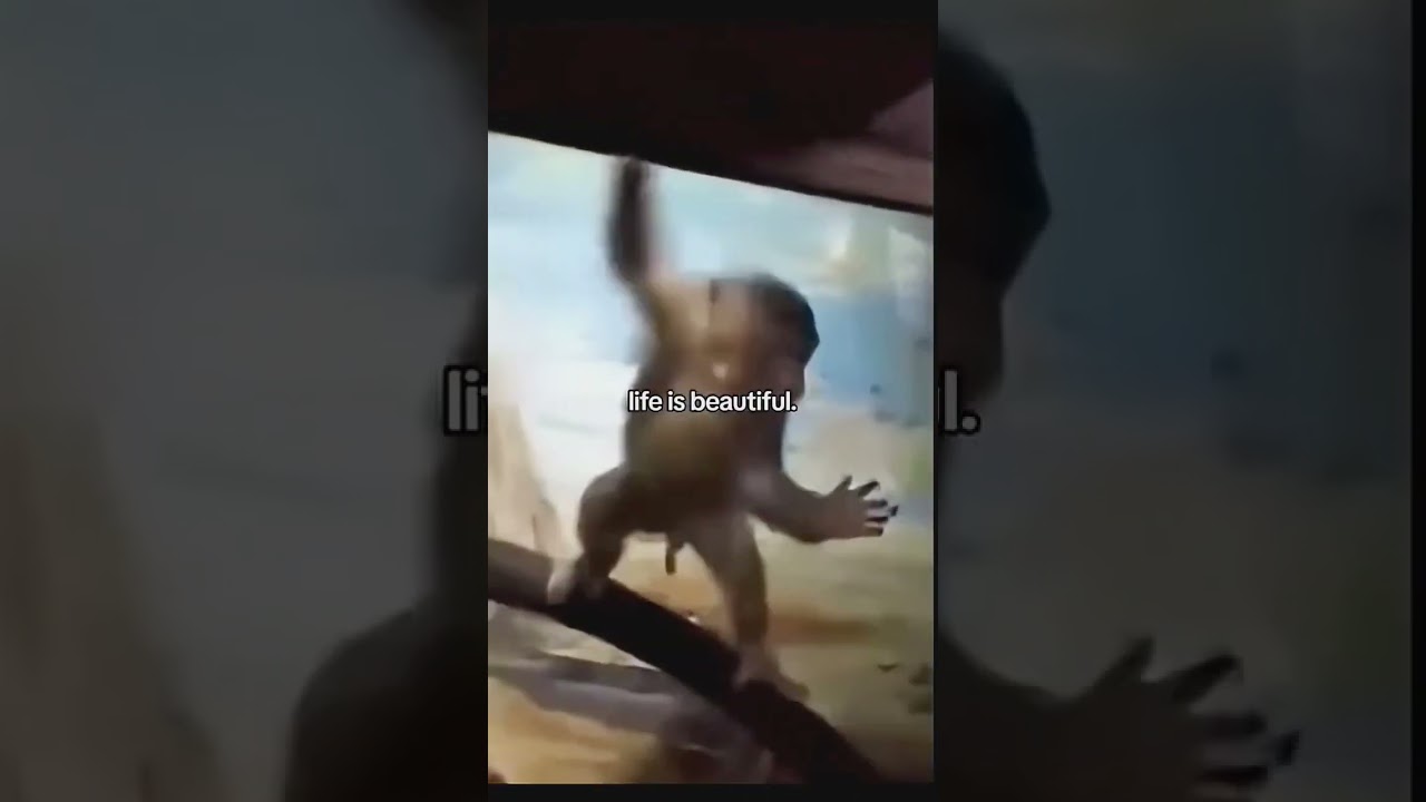 Monkeys are even gooning.. 🥀 🥀 #funny #memes