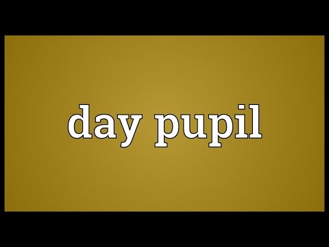 Day pupil Meaning