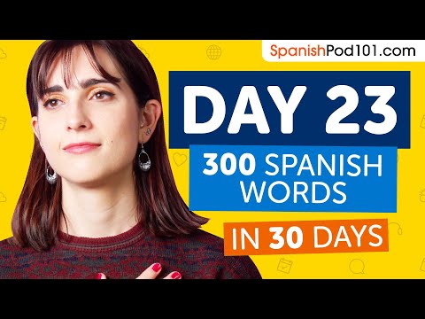 Day 23: 230/300 | Learn 300 Spanish Words in 30 Days Challenge
