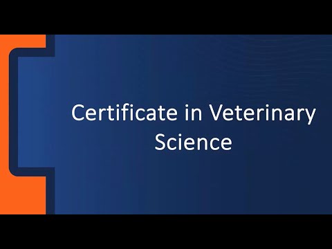 Certificate in Veterinary Science Info Session