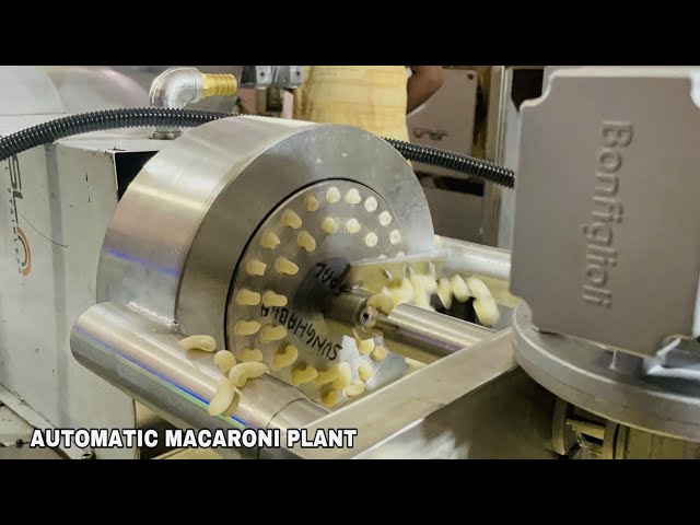 Penne Pasta Making Machine Manufacturer from Noida