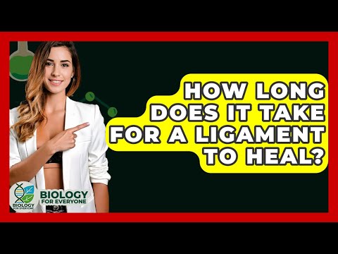 How Long Does It Take For A Ligament To Heal? - Biology For Everyone