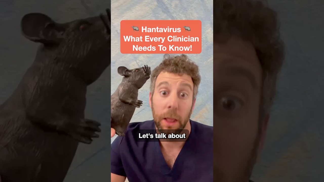 Spotting Hantavirus: Key Symptoms & Prevention Tips 🔍