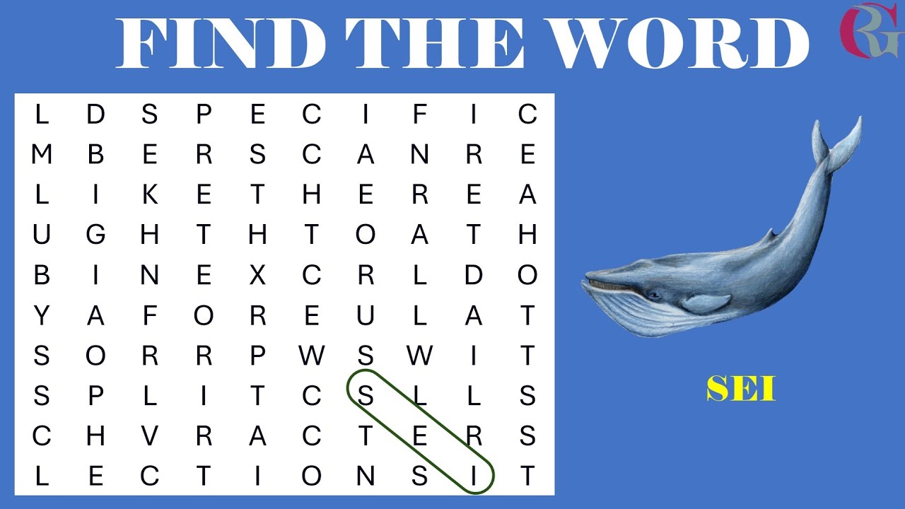 🌊🐬 Ultimate WORD Puzzle: Can You Find All the Marine Mammals? 🐋🐧