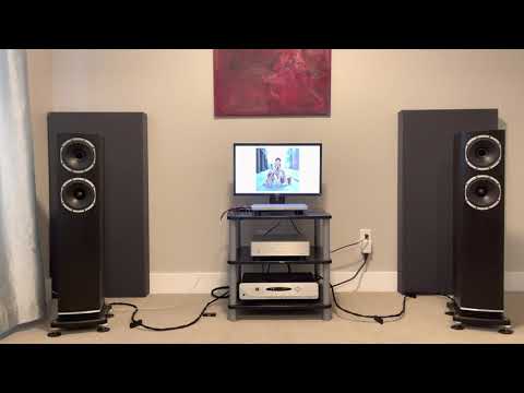Denafrips Pontus II dac with Fyne f501 great vocal jazz sound!
