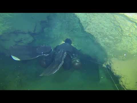 Un-named Spring - A 13 Minute Video of a Yet to be Named Spring