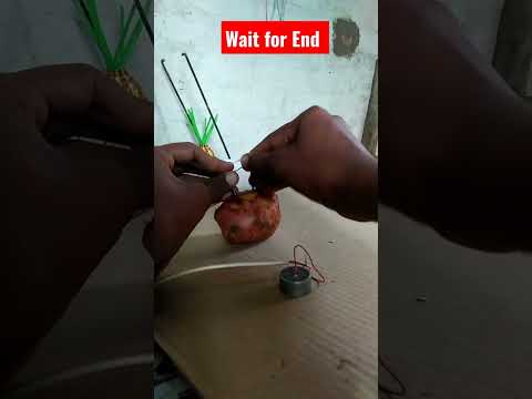 Potato Free Energy With DC Motor Experiment #shorts #trending #experiment20v