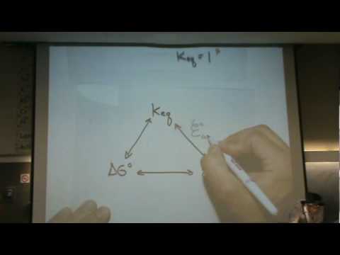 Equation Summary Nernst