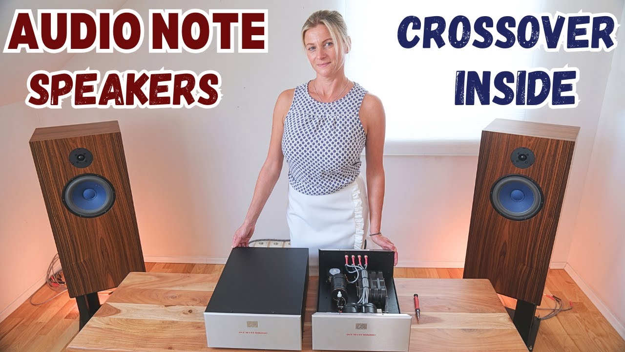 AUDIO NOTE AN-E/SPe HE Signature -A Look Inside the External Crossover. #audionote #hifi #audiophile