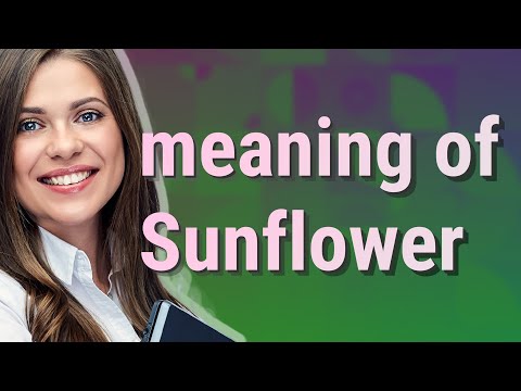 Sunflower | meaning of Sunflower