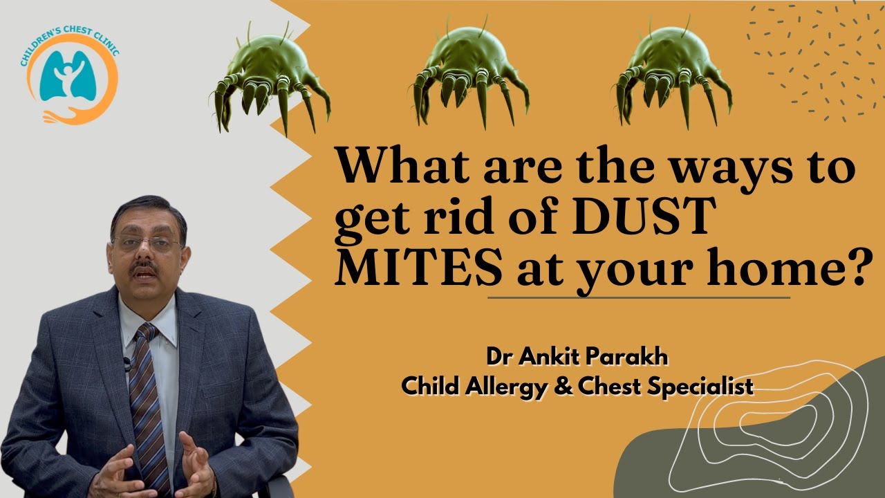 What are the ways to get rid of DUST MITES at your home? Dr Ankit Parakh, Child Allergy Specialist