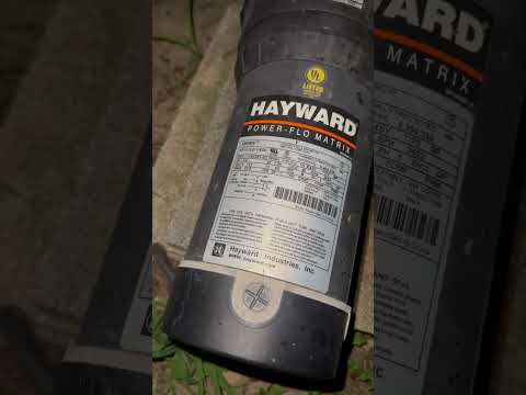 Hayward pool pump centrifugal switch