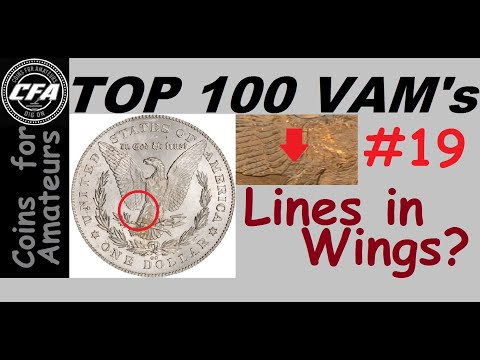 1878 CC VAM 11 'Lines in Eagles Wing' Morgan Die Polish Variety | What are Top 100 VAMs Worth? PCGS