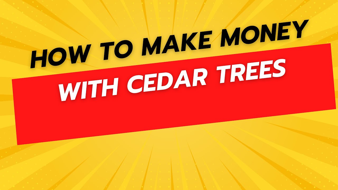 How to Make Money With Cedar Trees