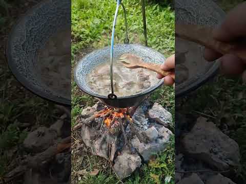 Wild rabbit stew cooking in nature | #naturecooking #asmr #recipe