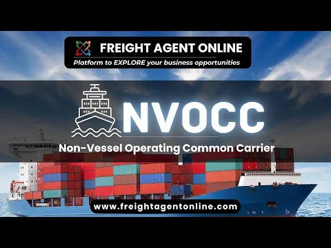 Major role of NVOCCs in Global Shipping Explained | NVOCC Services and Impact in 2024