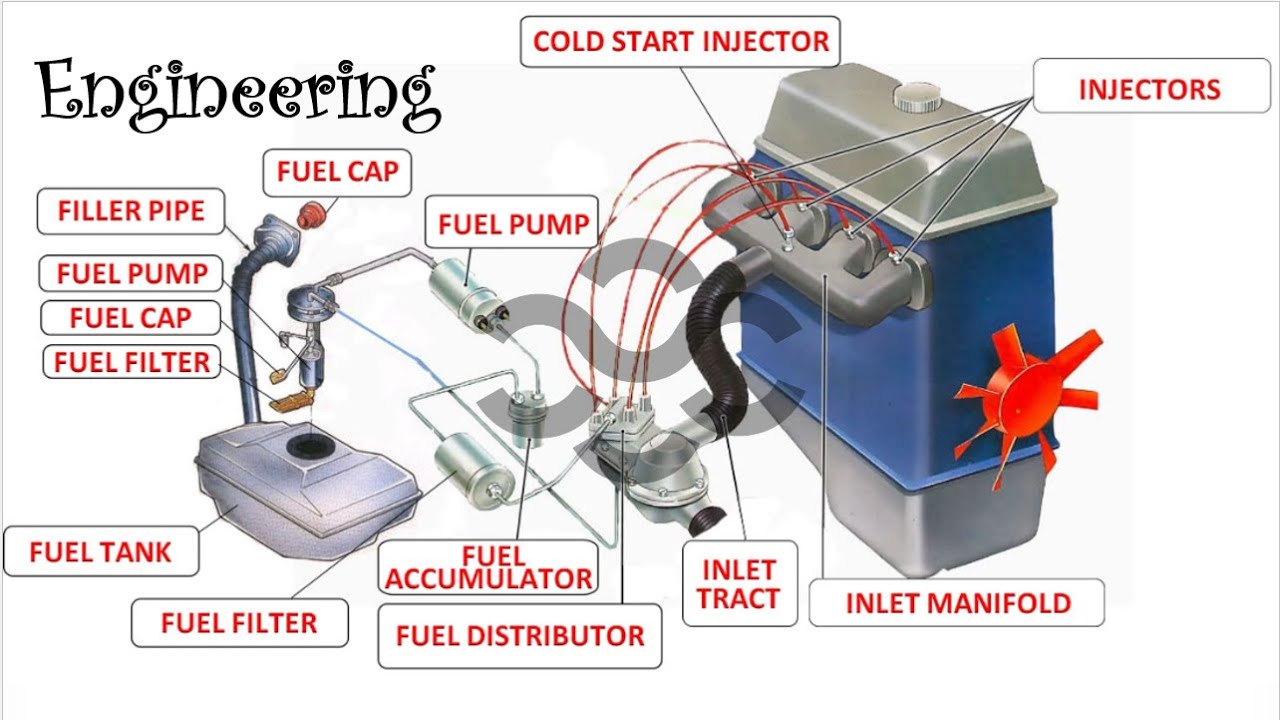 Fuel System (EFI) | Engineering