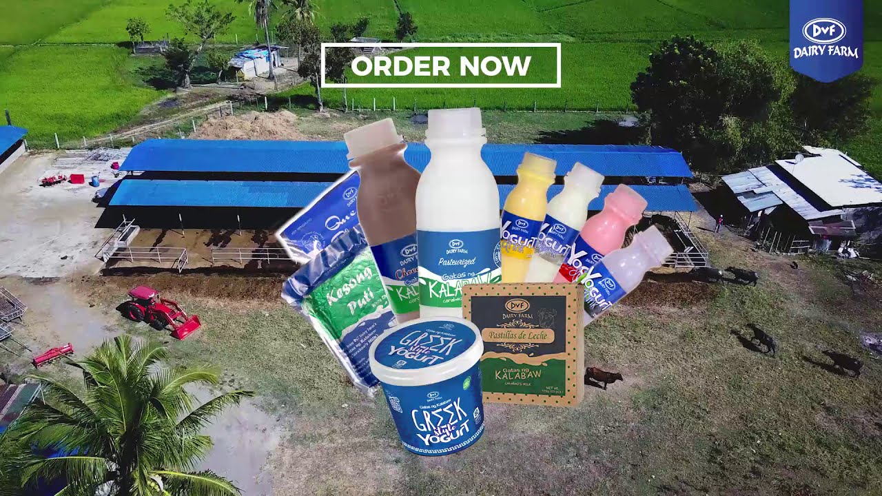 Fresh and Deliciously Healthy with DVF Dairy Farm (Philippines)
