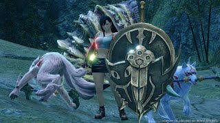MHR PC Mod - Tifa Lockhart from Final Fantasy VII at Monster Hunter ...