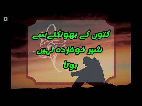 Best Urdu Quotes for Finding Inner Peace | SKM Thoughts