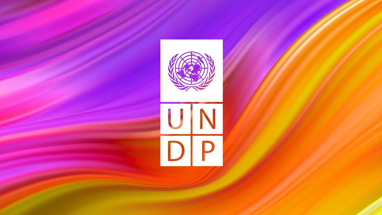 UNDP's 2019 Annual Report