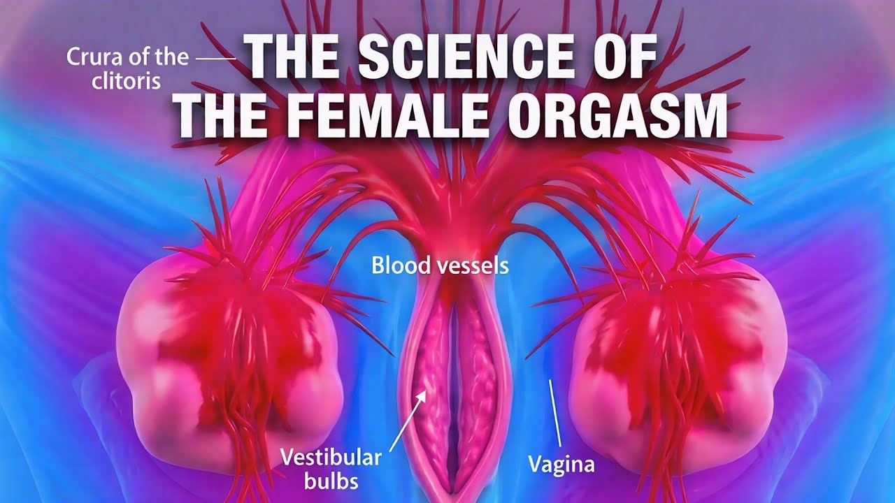 8K+ Female Orgasm: The Complete Guide to Pleasure, Types, and How It Works
