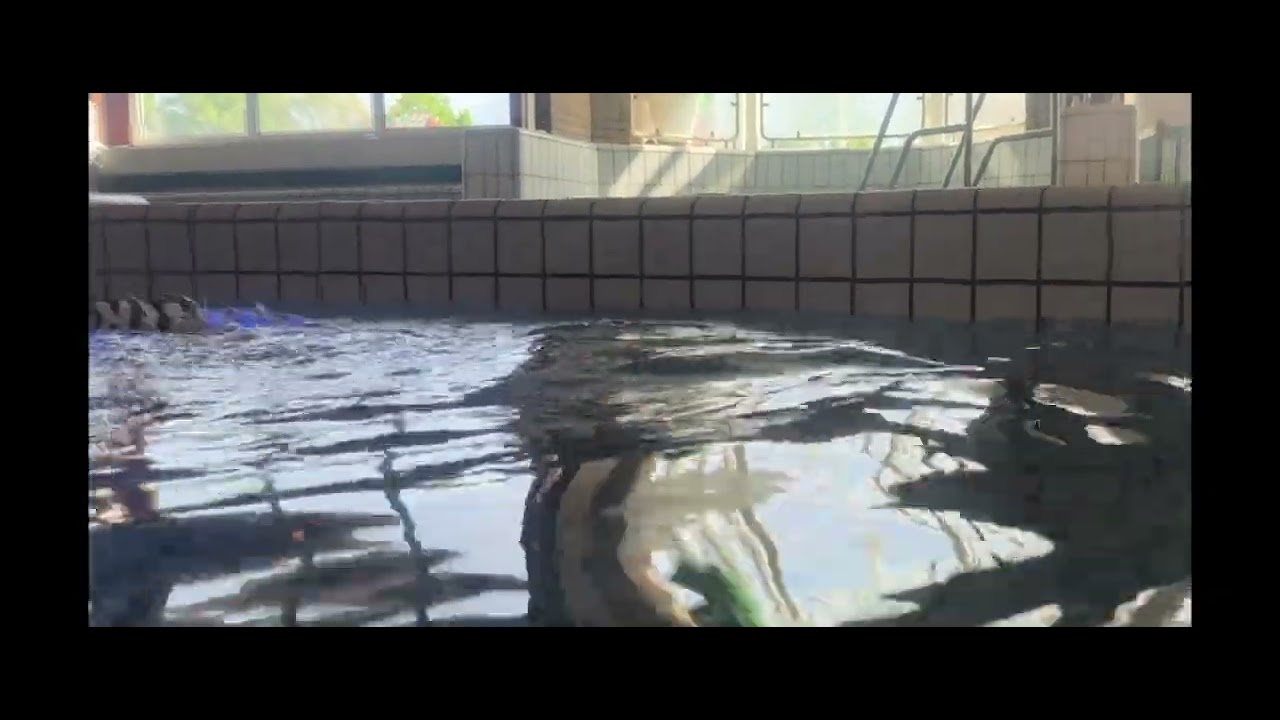 Swimming fully clothed