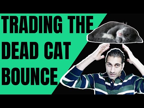 Trading the Dead Cat Bounce Pattern