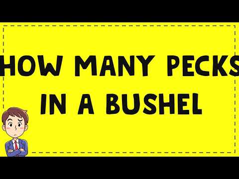 how many pecks in a bushel
