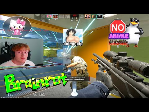 Steam Community :: Video :: playing CS2 with an anime pfp gave me brain rot