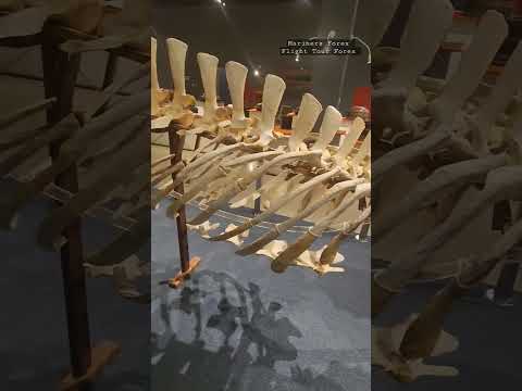 National Museum of Maldives